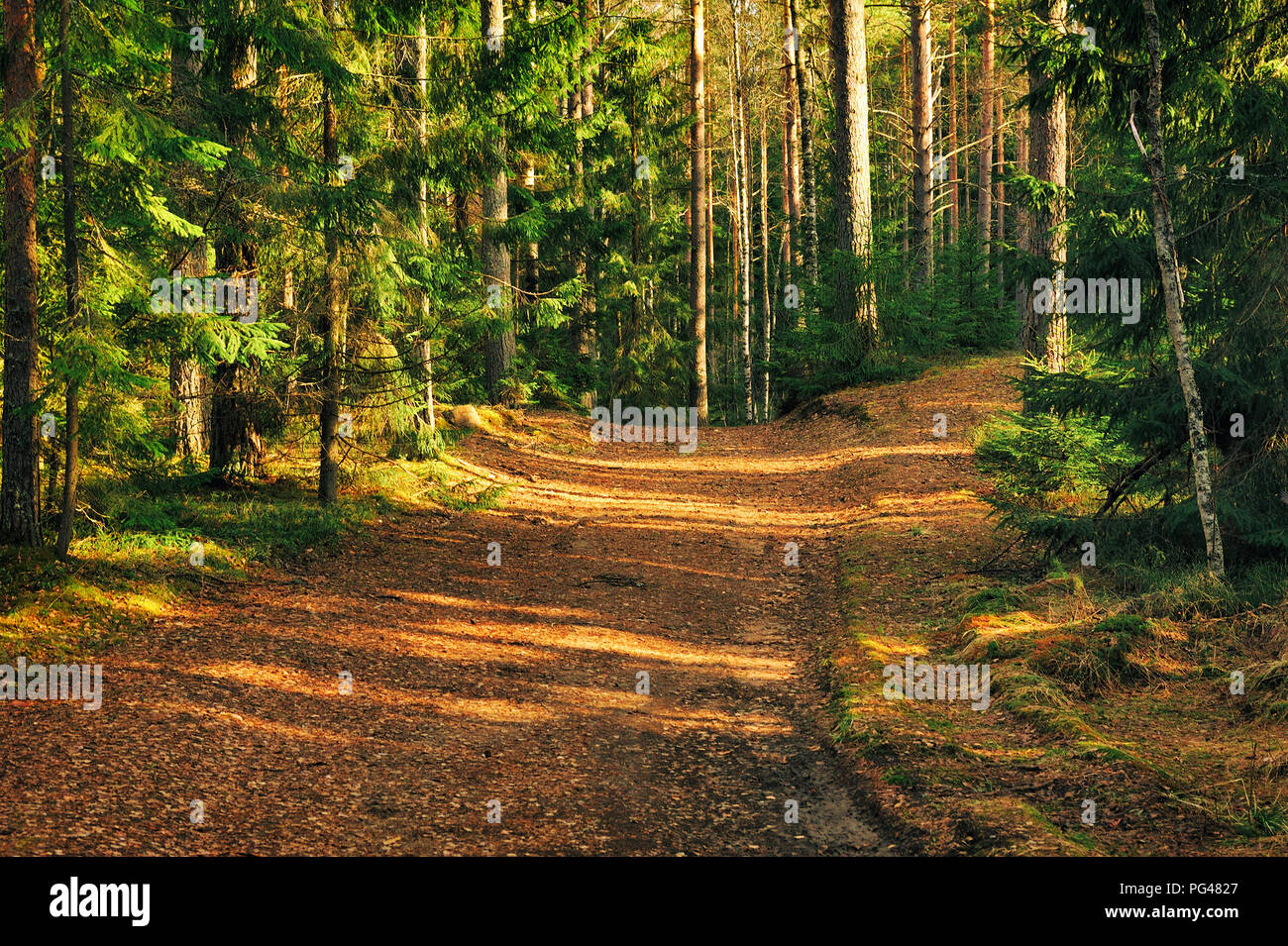 Empty soil hi-res stock photography and images - Alamy