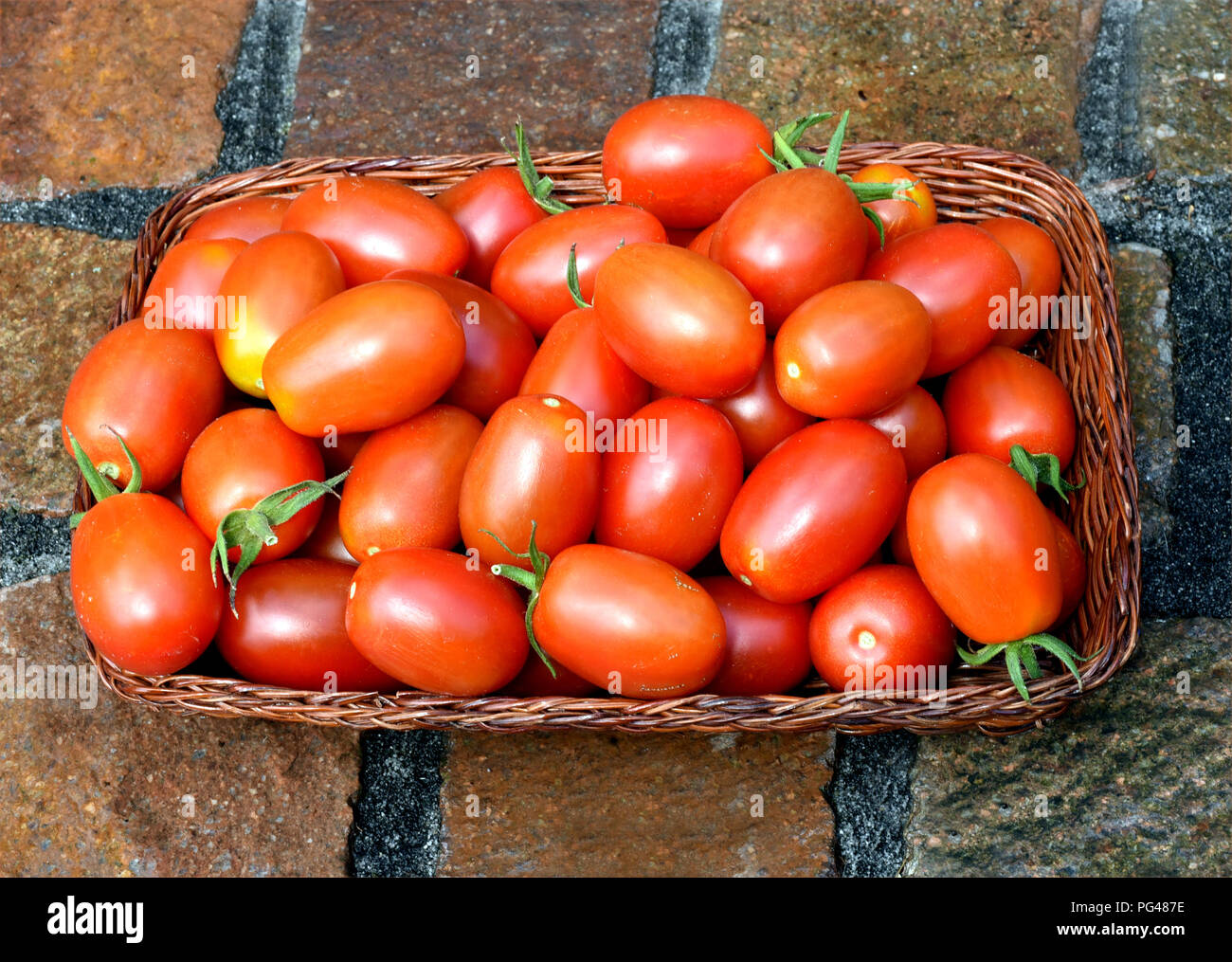 Cocktailtomate hi-res stock photography and images - Alamy