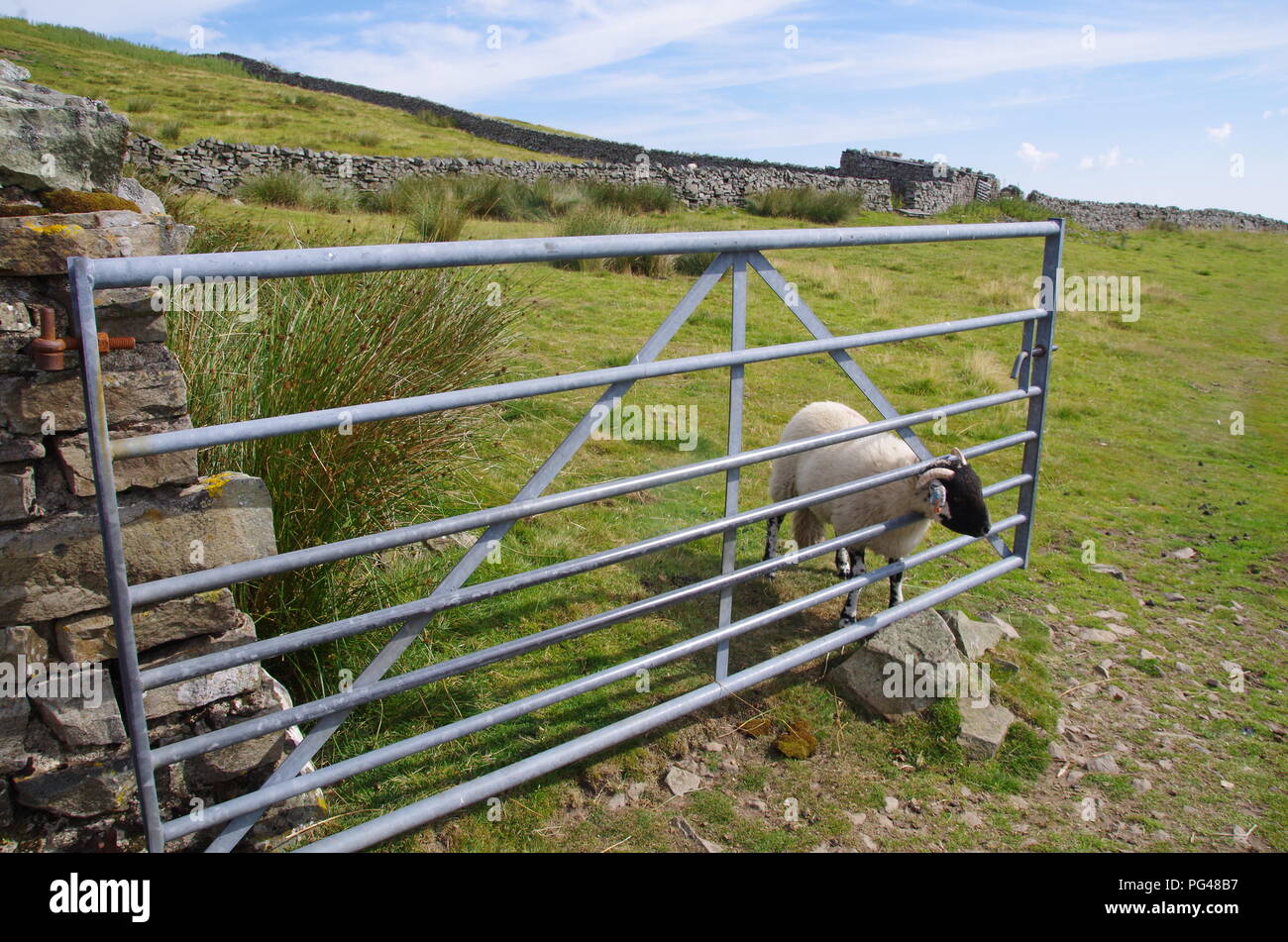 Farmers gate hi-res stock photography and images - Alamy