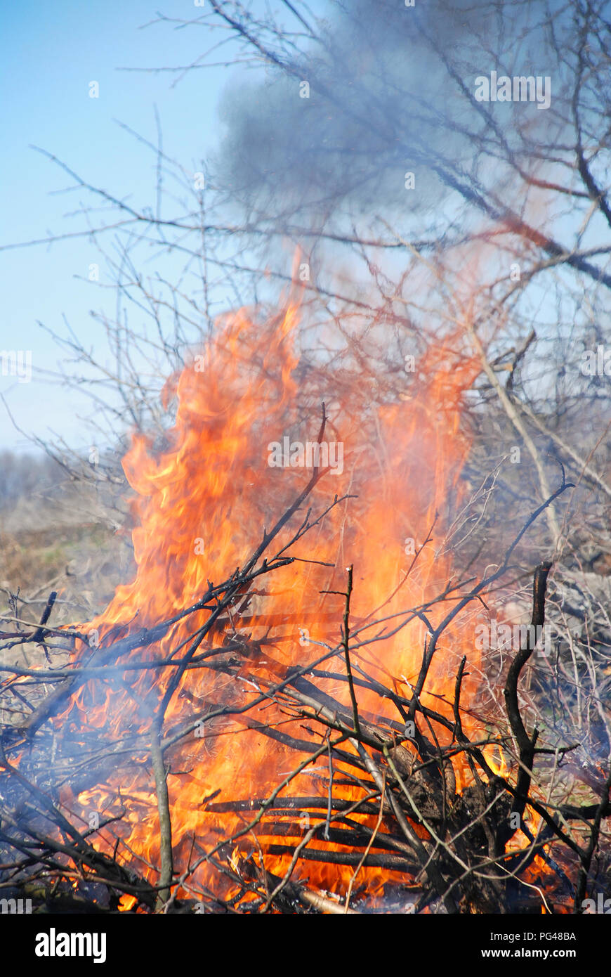 brightly burning bonfire of branches Stock Photo - Alamy