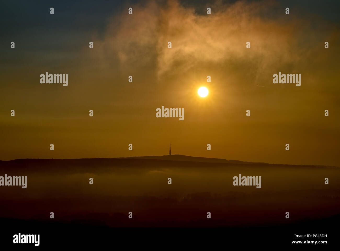 Kamzik hi-res stock photography and images - Alamy