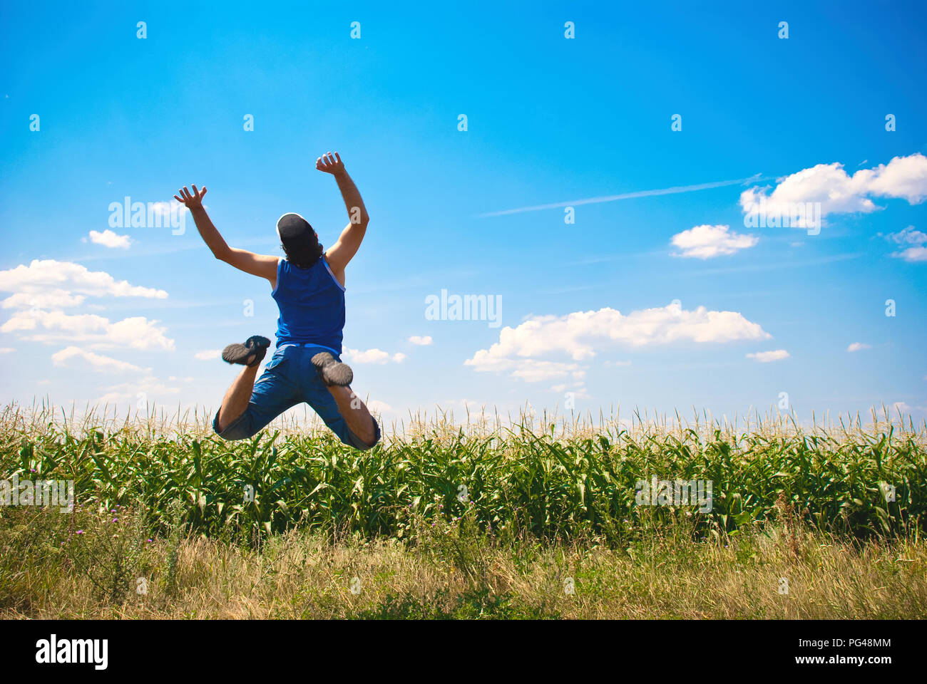 man jumping in a corn field Stock Photo - Alamy