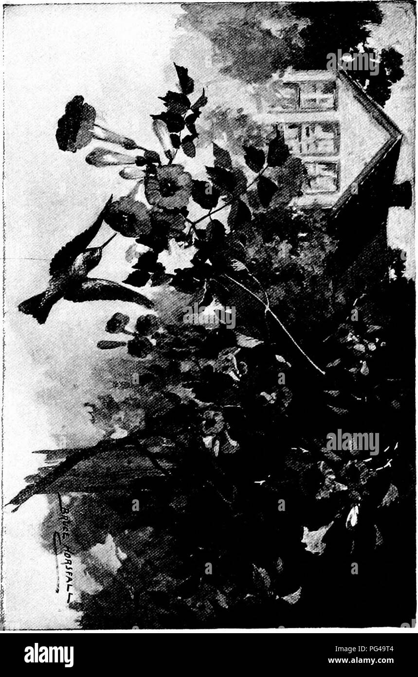 This Foundational Text On Botany Covers Key Aspects Of Plant Biology From Classification To