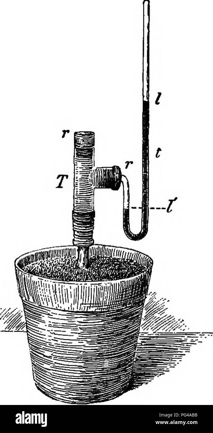 This work outlines the fundamental principles of botany, with a focus ...