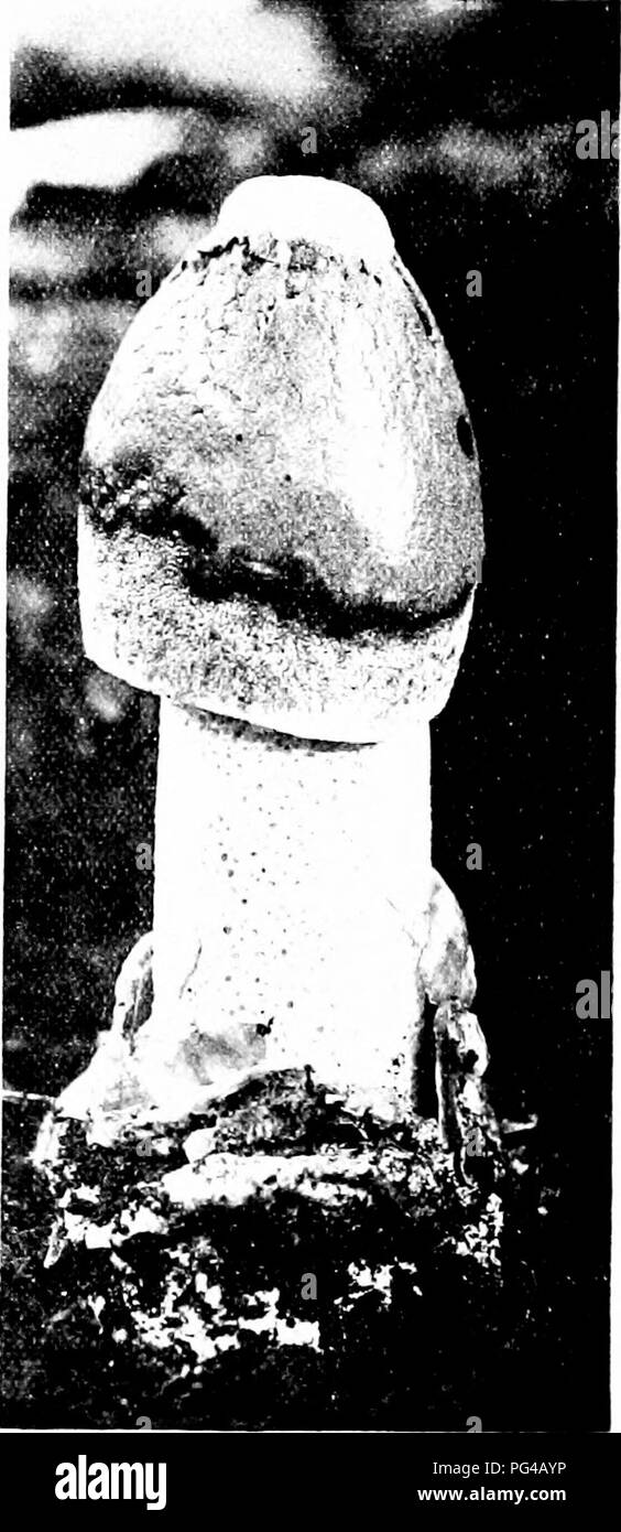 5 1 x 3 2 cm Black and White Stock Photos & Images - Alamy