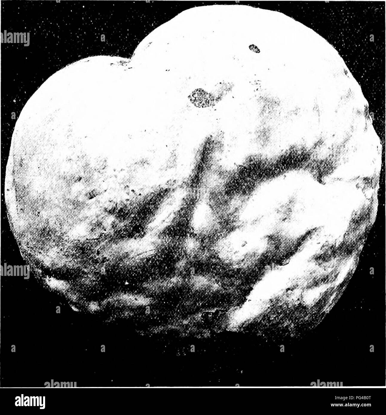 This botanical study of mushrooms in Minnesota includes a detailed look ...