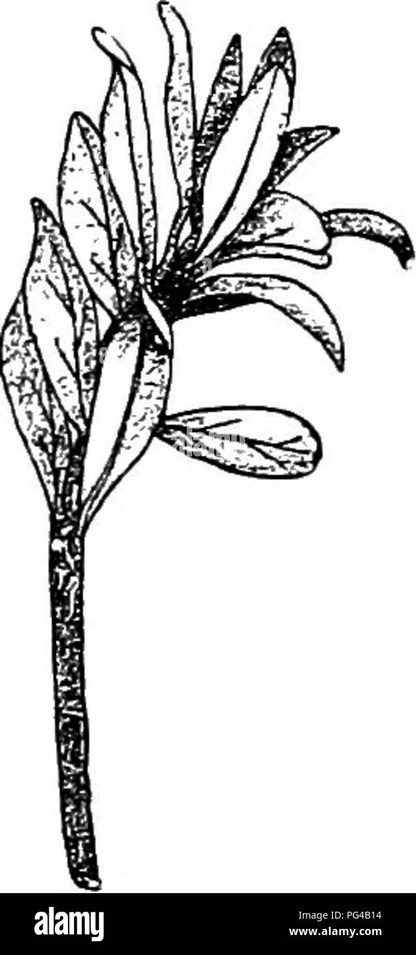 Study on soil management Cut Out Stock Images & Pictures - Alamy