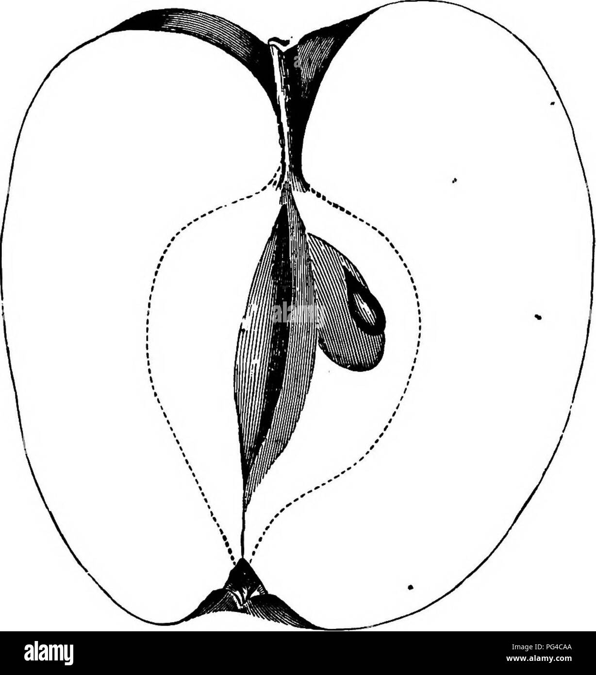 Conic section hi-res stock photography and images - Alamy