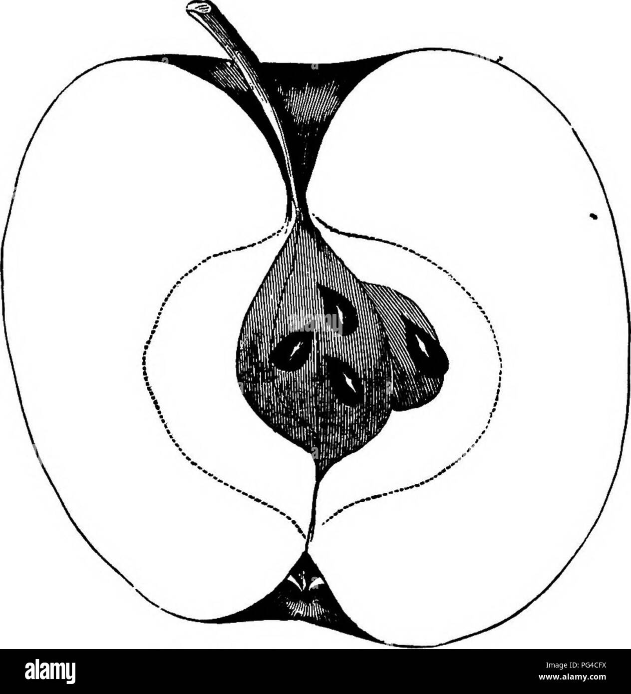 1 eye closed Black and White Stock Photos & Images - Alamy