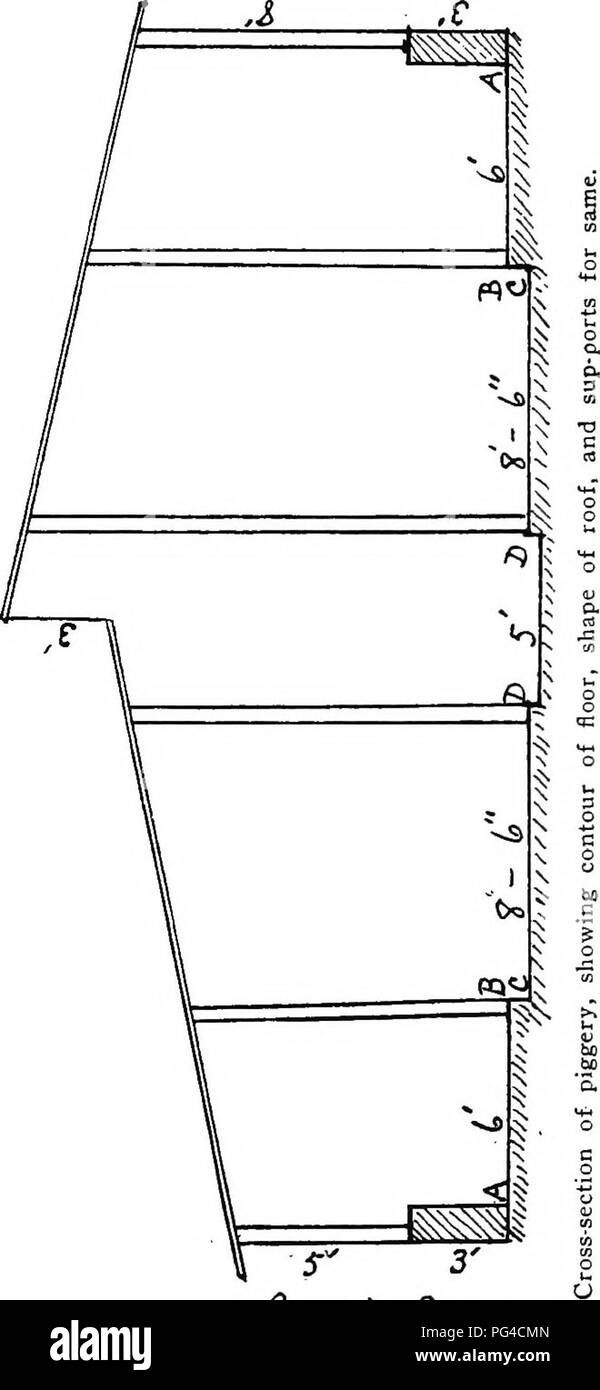 Pig handling Black and White Stock Photos & Images - Alamy