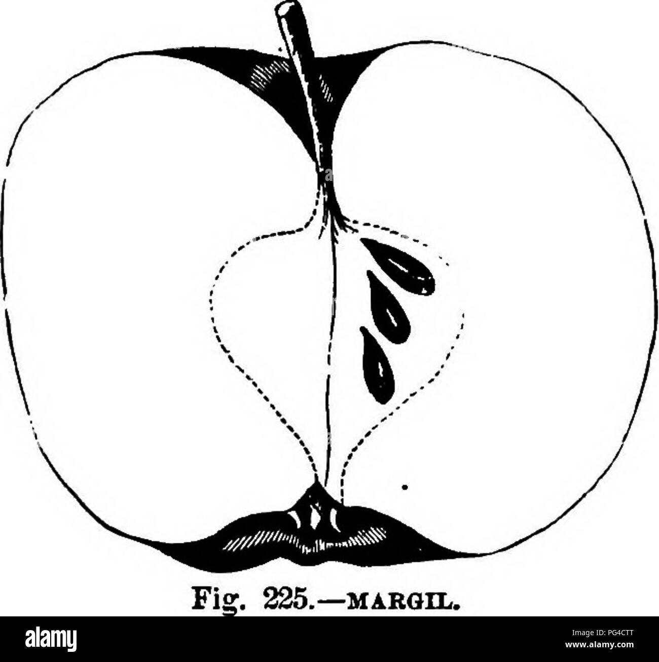 Apple Ii Black and White Stock Photos & Images - Alamy