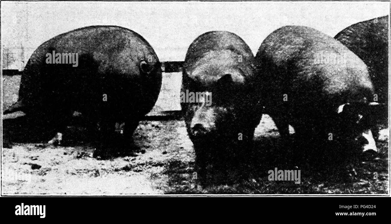 Heavy light experiment hi-res stock photography and images - Alamy