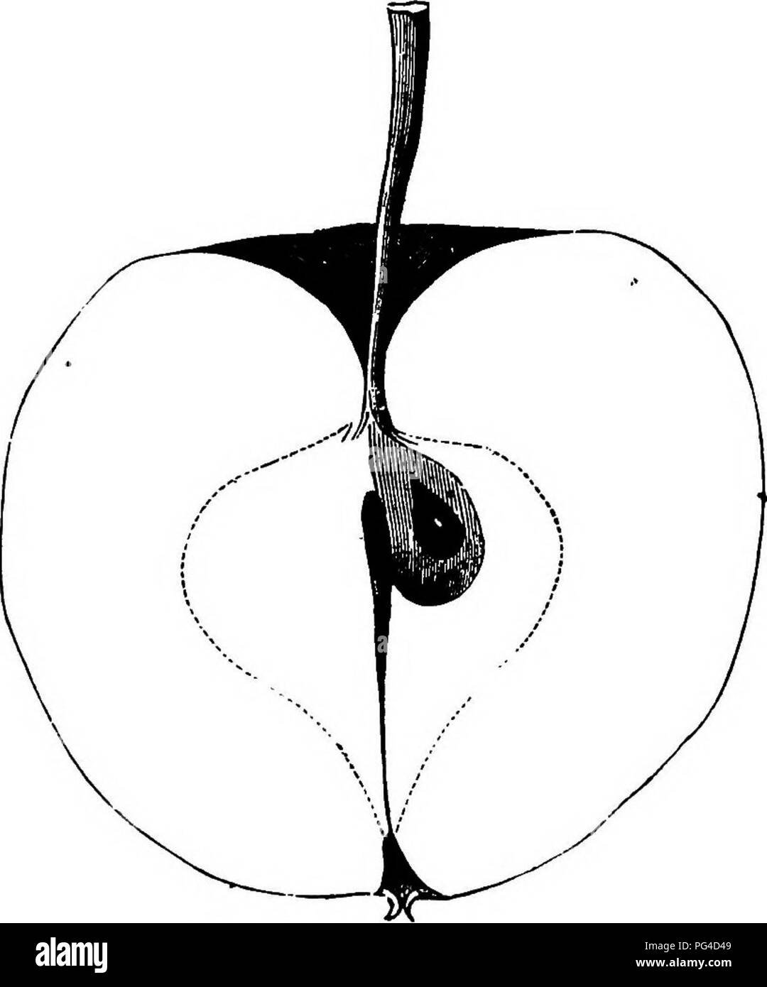 176 n see also Black and White Stock Photos & Images - Alamy