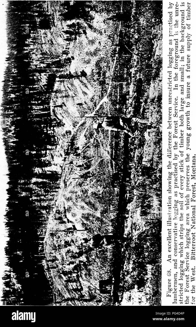 This work provides a brief overview of the U.S. Forest Service's ...