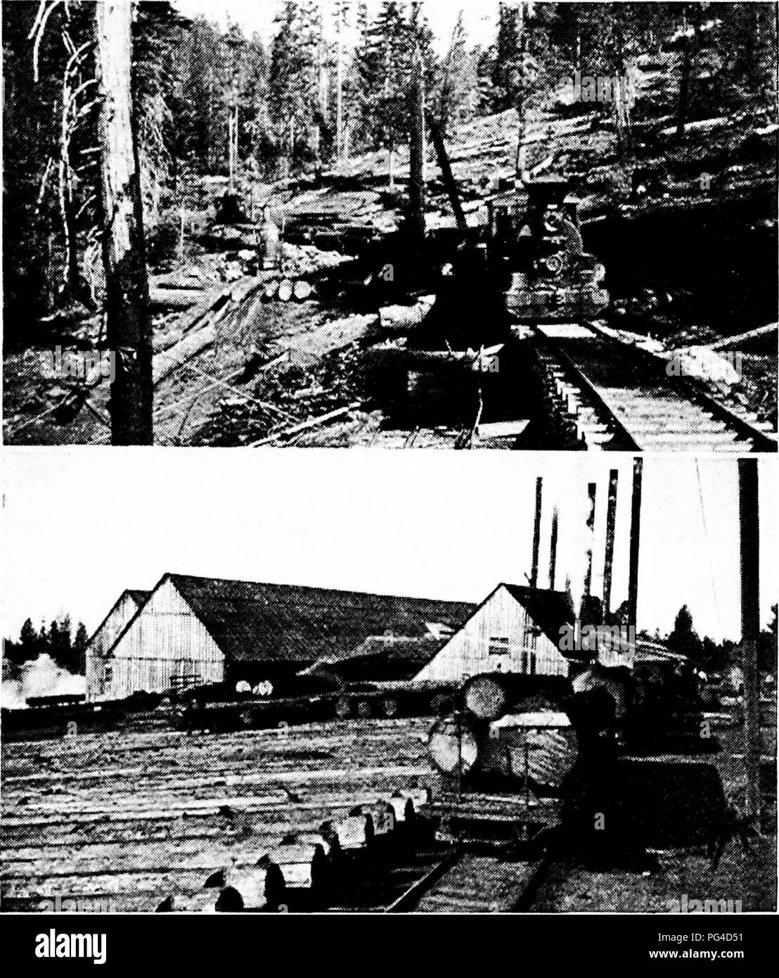 This book offers an overview of the United States Forest Service's work ...