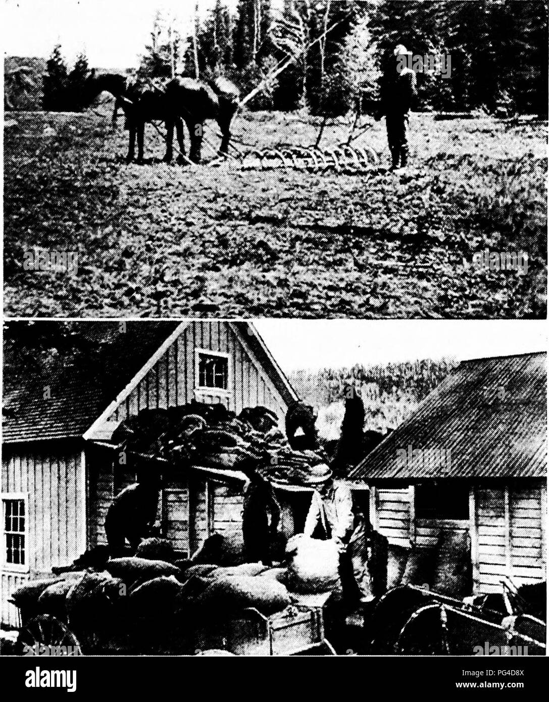 This image shows forestry activities in the Battlement National Forest ...