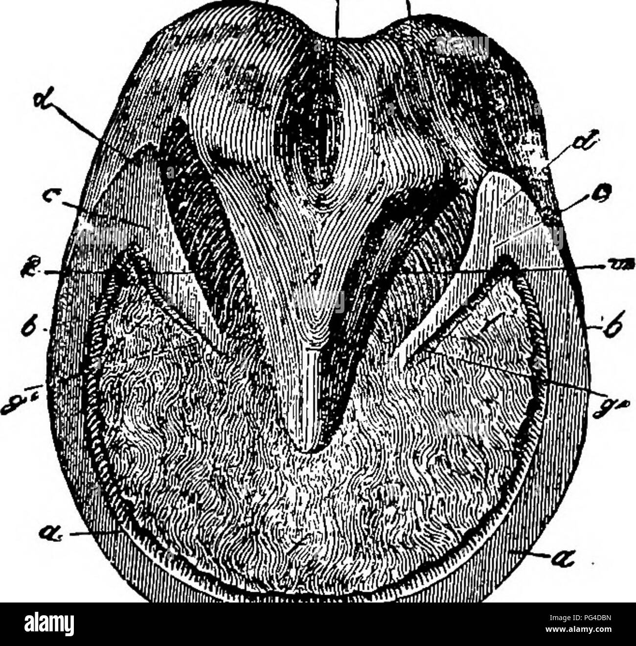 This practical manual for horse-keepers focuses on the care of a horse ...