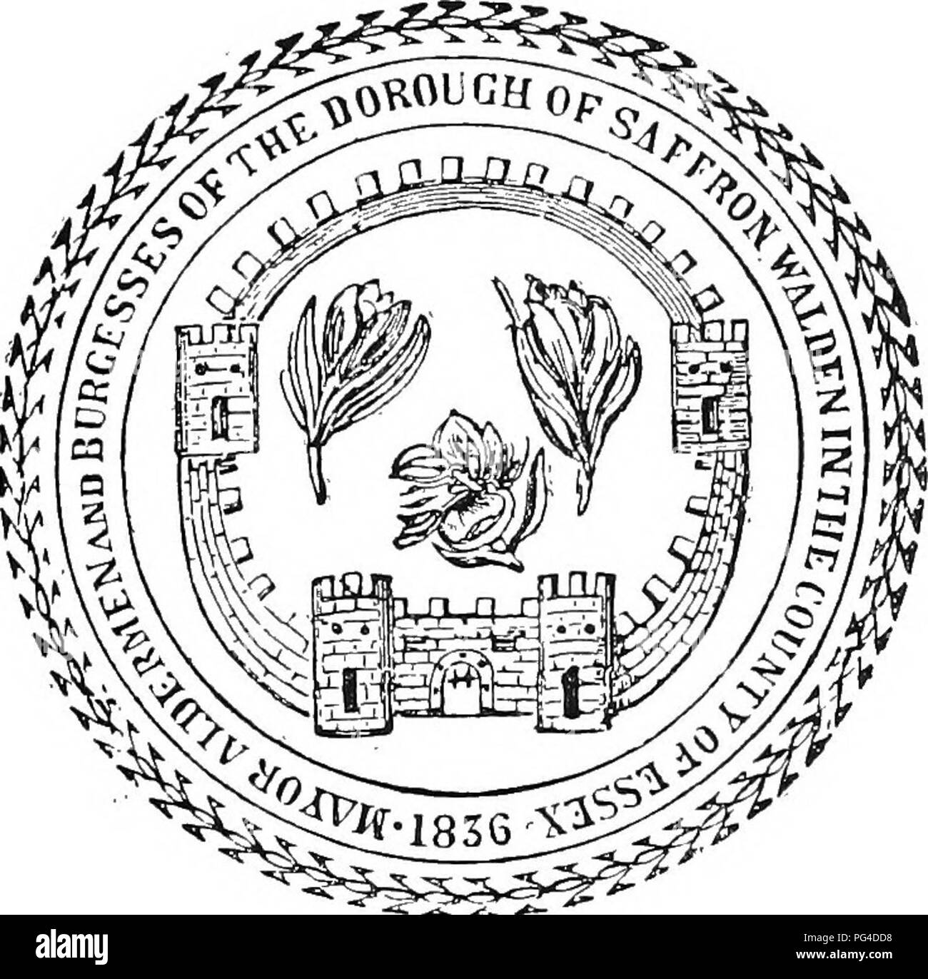 Herbs plants used traditional Black and White Stock Photos & Images - Alamy