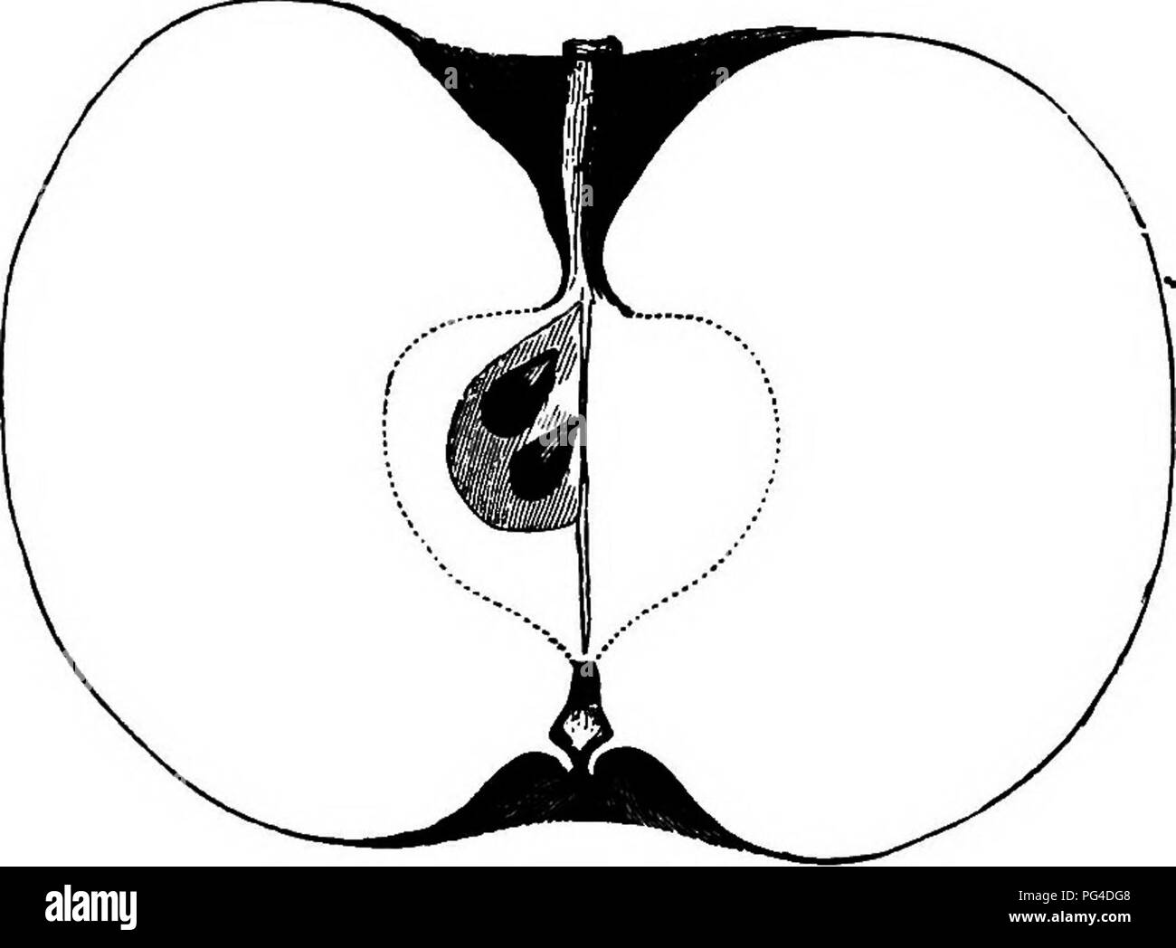 Pro southern Black and White Stock Photos & Images - Alamy