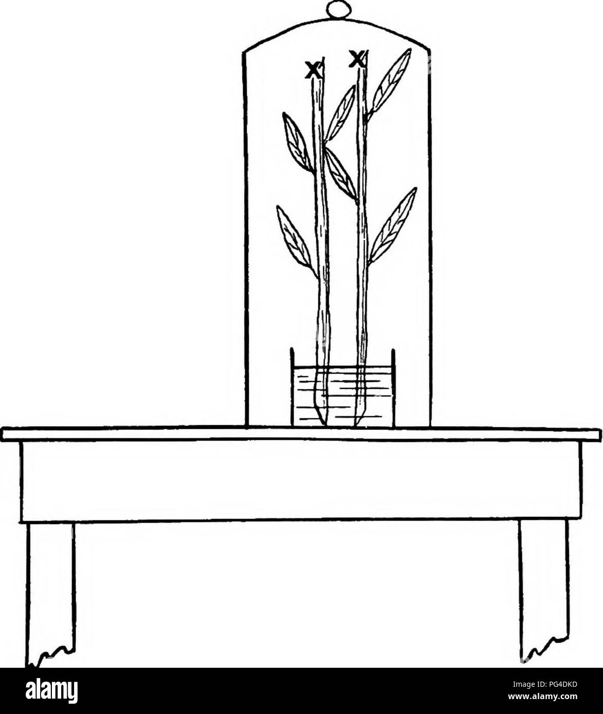 A textbook focusing on mycology and plant pathology, covering ...
