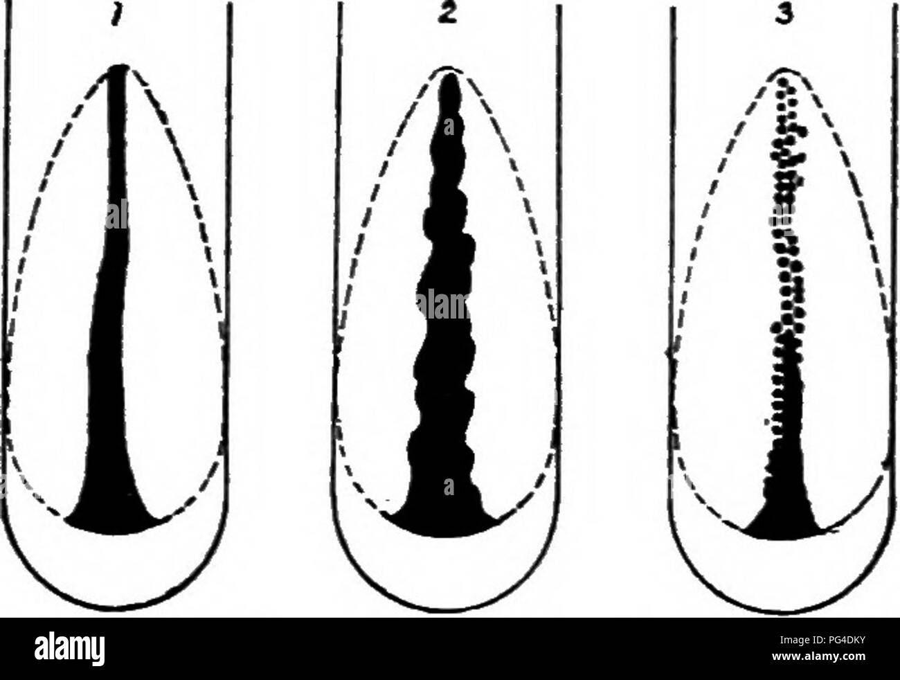 . A text-book of mycology and plant pathology . Plant diseases; Fungi ...
