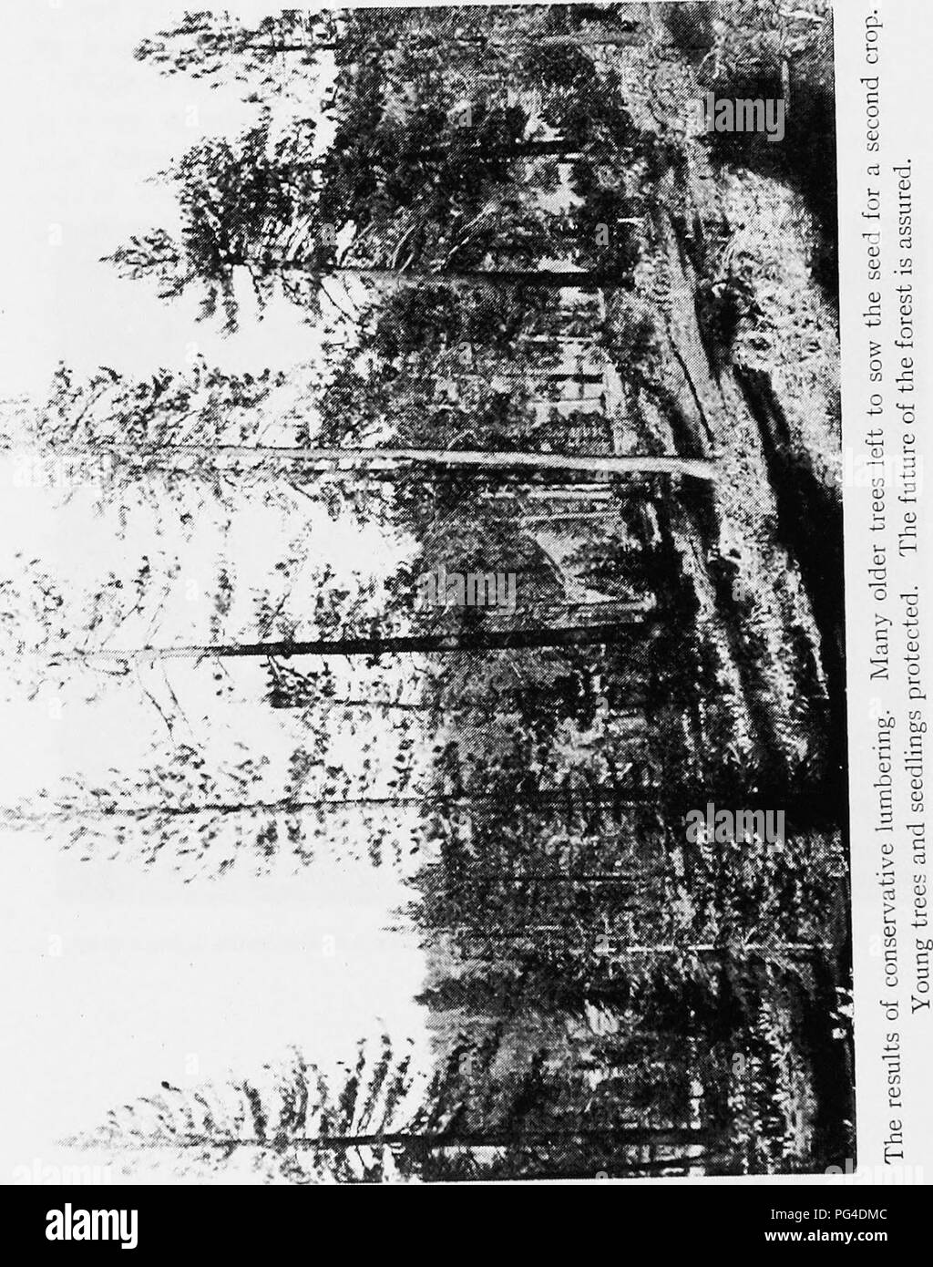 Woodland planting on farm hi-res stock photography and images - Alamy