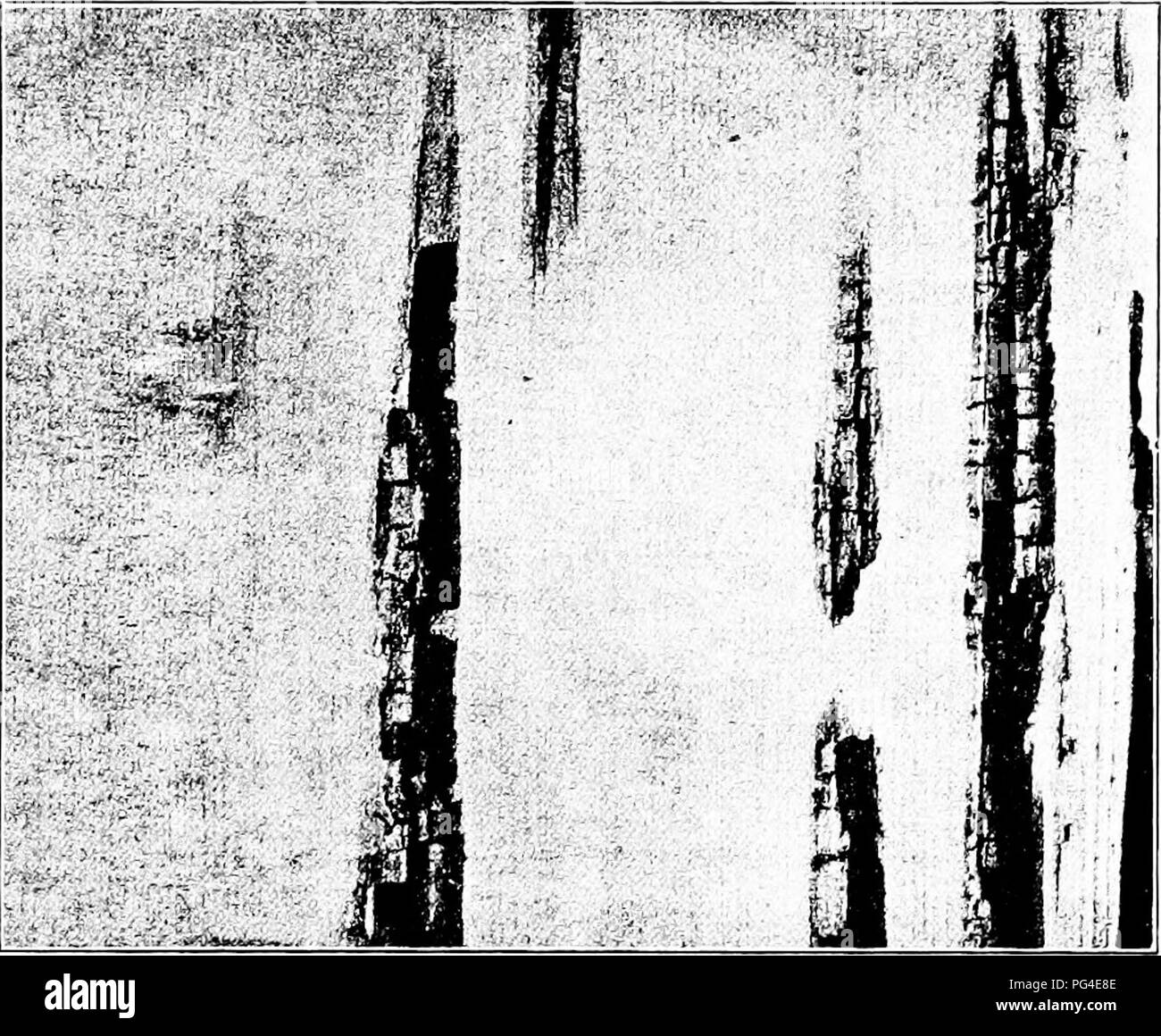 Causes rot Black and White Stock Photos & Images - Alamy