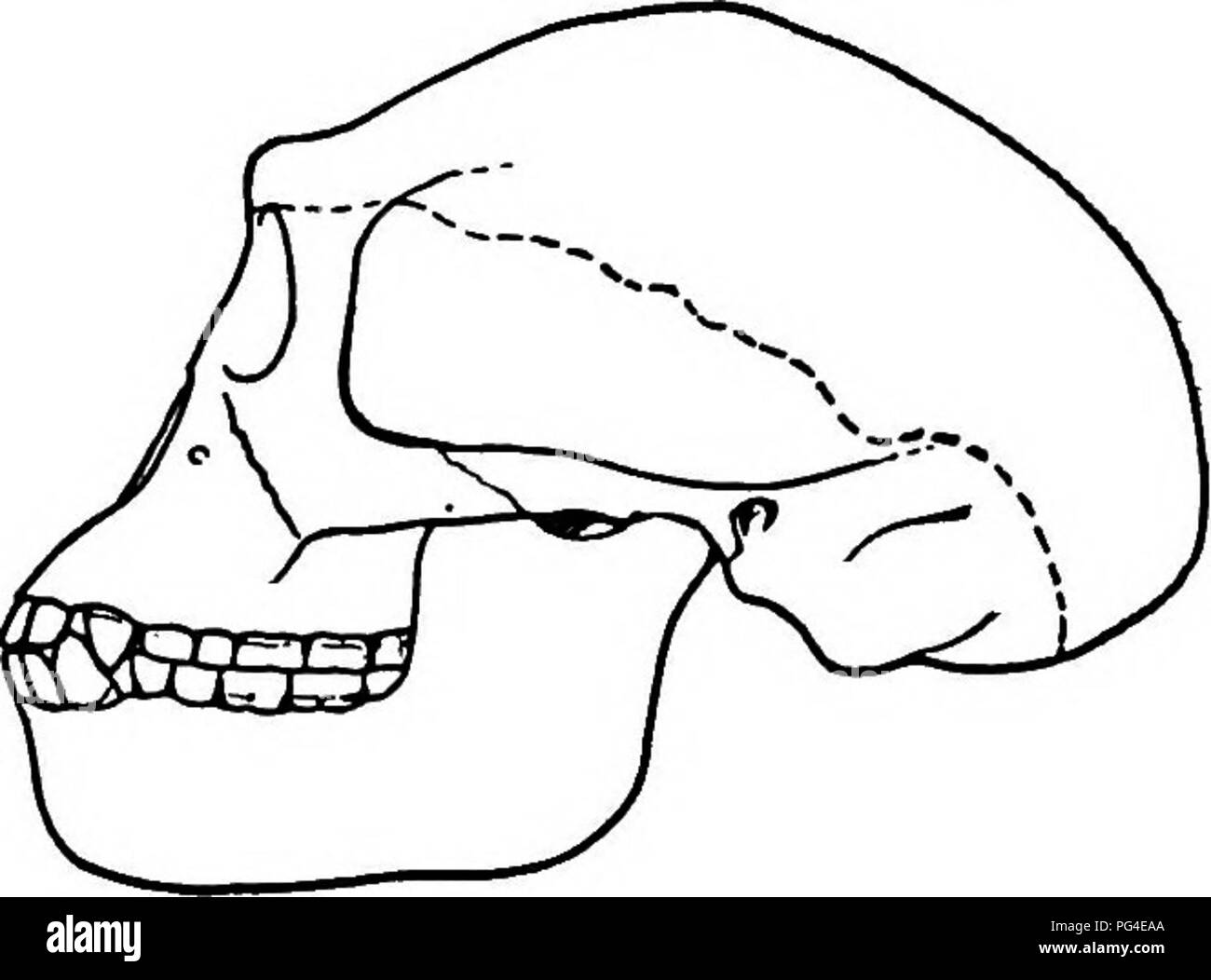 This collection of readings explores the topics of evolution, genetics ...