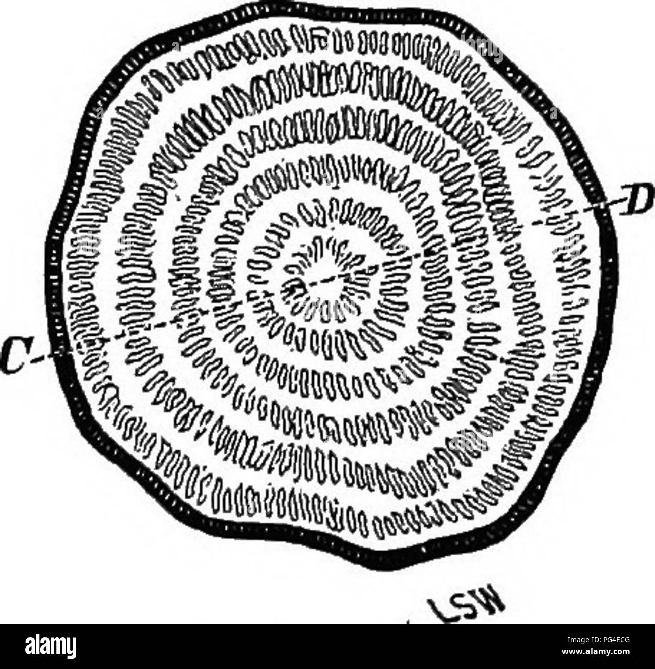 Zone tillage hi-res stock photography and images - Alamy