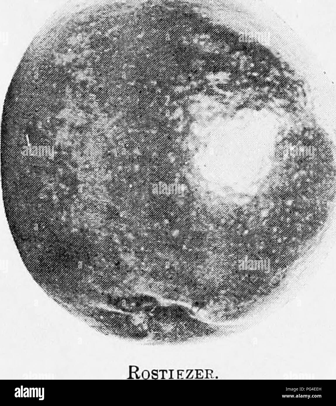 Detailing varieties Black and White Stock Photos & Images - Alamy