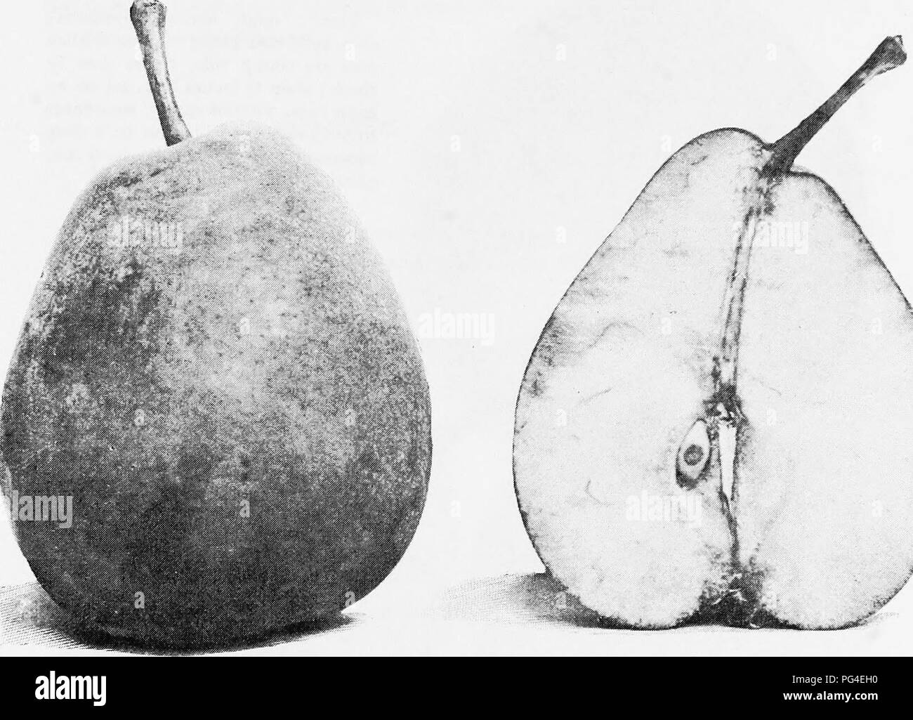 This work discusses various fruit varieties in Ontario, with a focus on ...