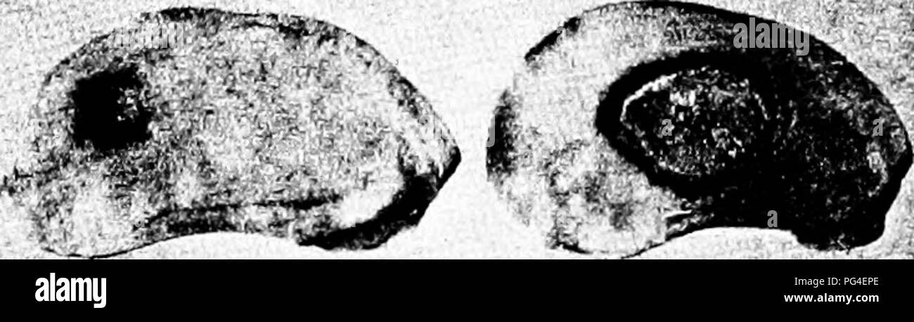 1 2 92 Black and White Stock Photos & Images - Alamy