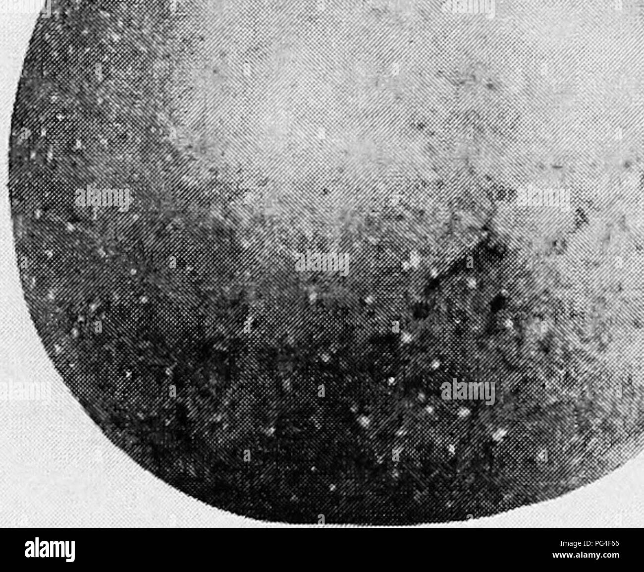 The 1905 edition of 'The Fruits of Ontario' describes the Stump apple ...