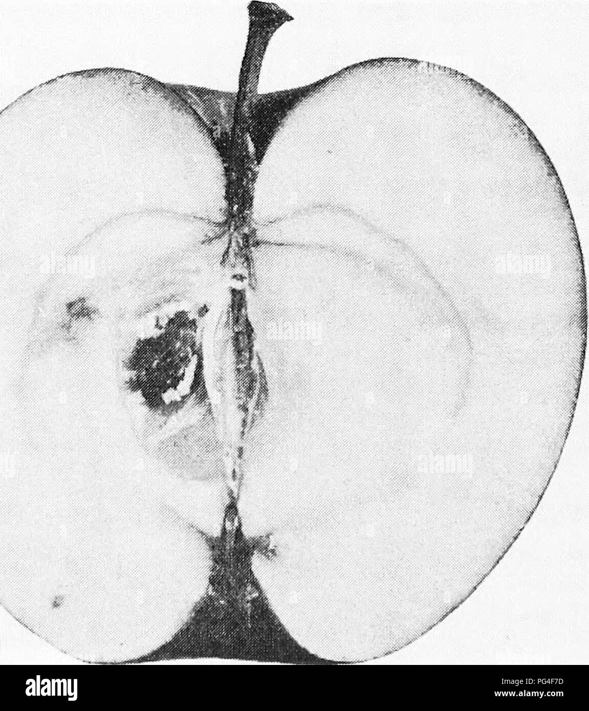 This publication provides a detailed description of various fruit ...