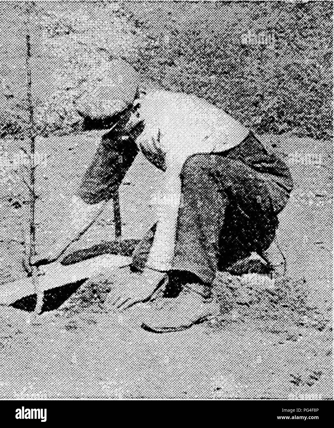 Planting fruit tree roots Black and White Stock Photos & Images - Alamy