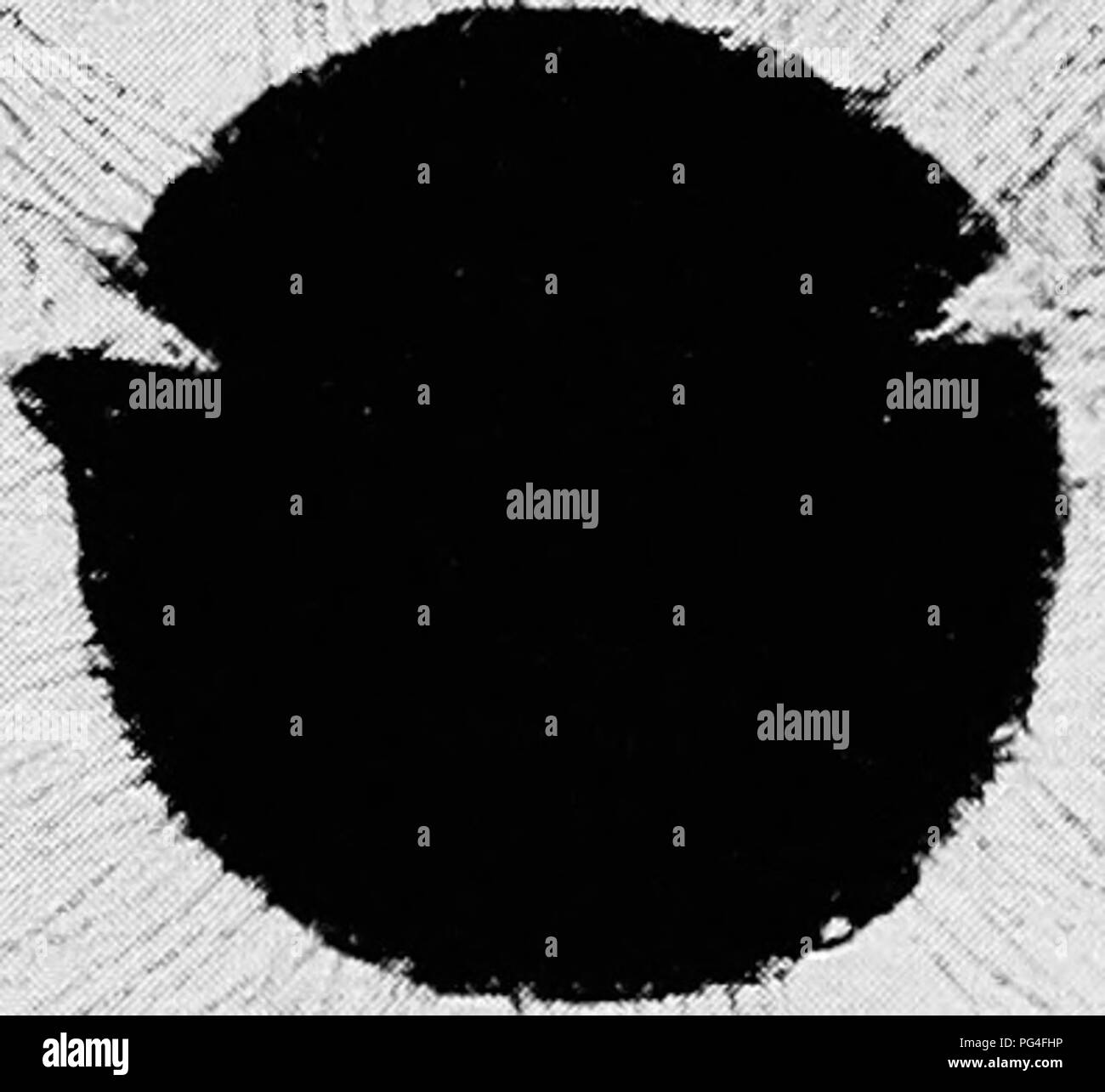 Insect mycology research hi-res stock photography and images - Alamy