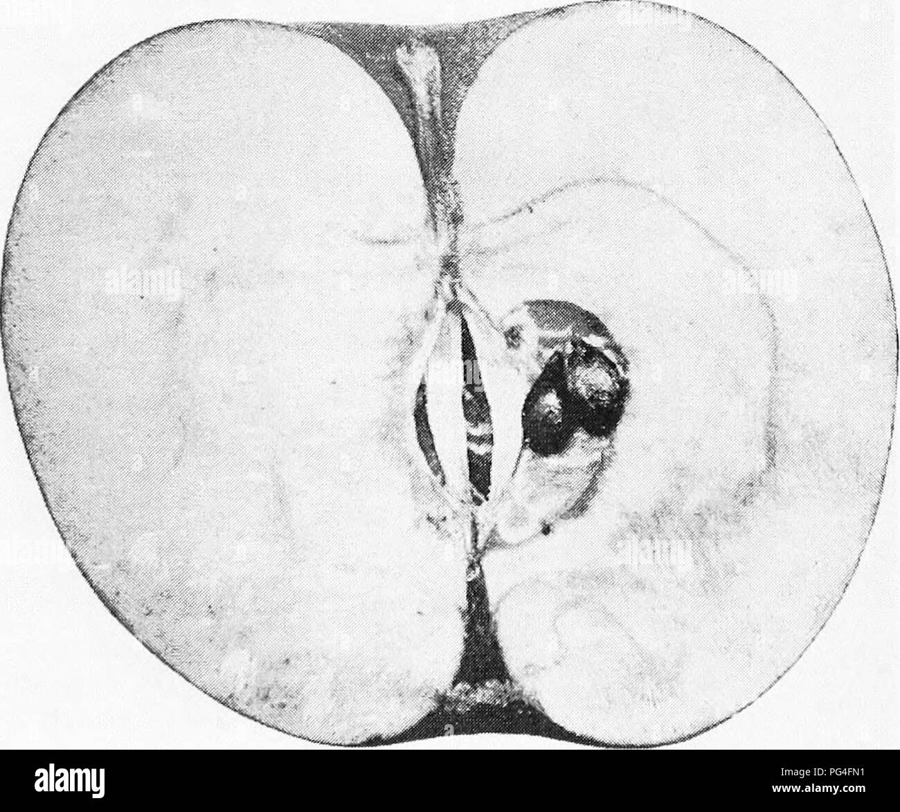 Selection flavor Black and White Stock Photos & Images - Alamy