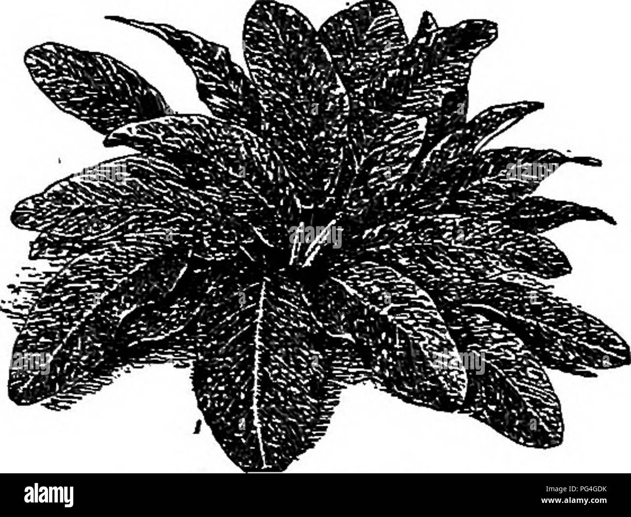 M station Cut Out Stock Images & Pictures - Alamy