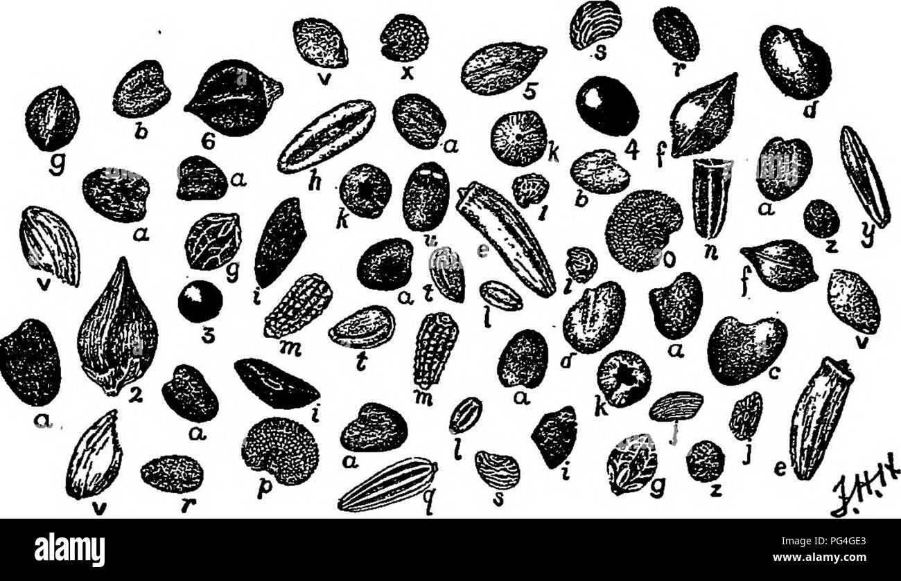 Mixture seeds Black and White Stock Photos & Images - Alamy