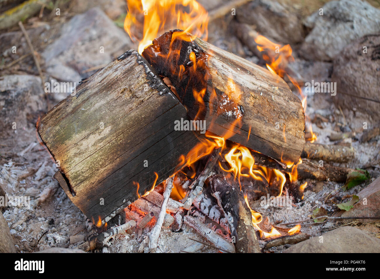 Charred bark hi-res stock photography and images - Alamy