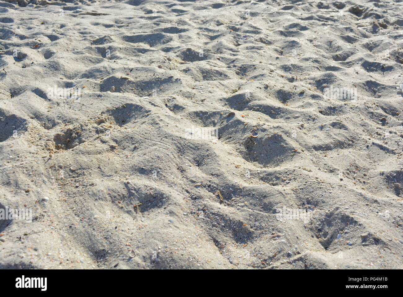 Yellow sand with shallow shell on the beach of the Black Sea in the ...