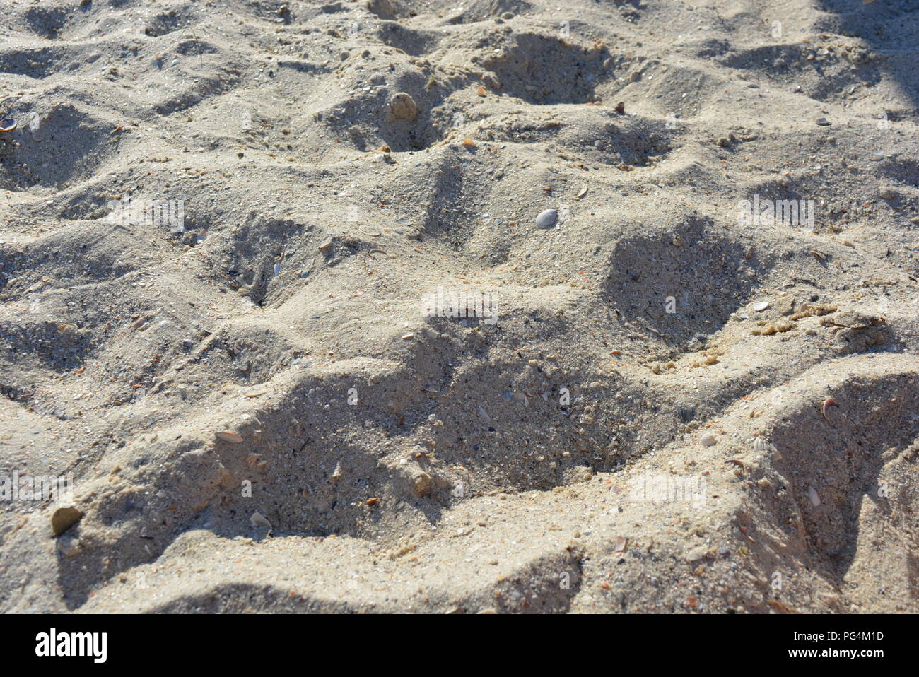 Yellow sand with shallow shell on the beach of the Black Sea in the ...