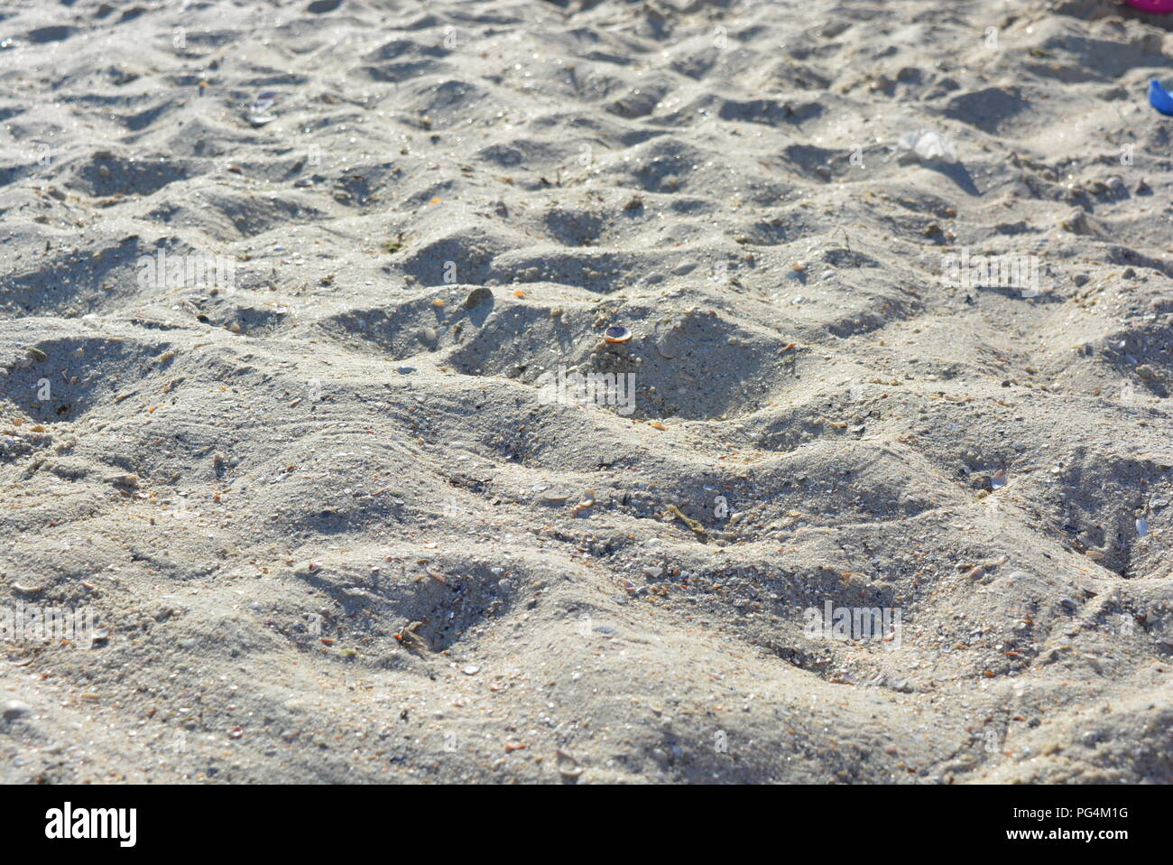 Yellow sand with shallow shell on the beach of the Black Sea in the ...