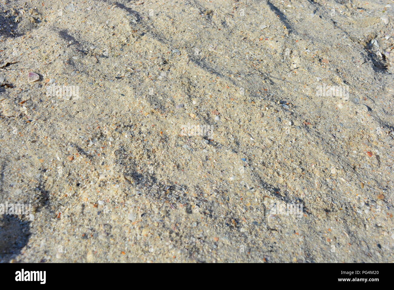 Yellow sand with shallow shell on the beach of the Black Sea in the ...