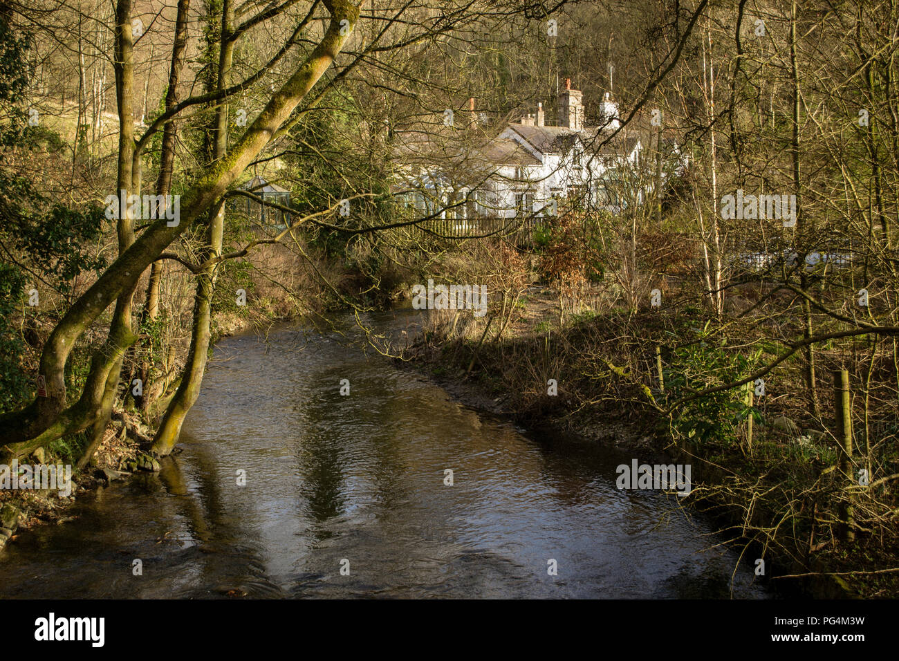 Trees, river and cottage in Loggerheads Country Park, North Wales Stock ...
