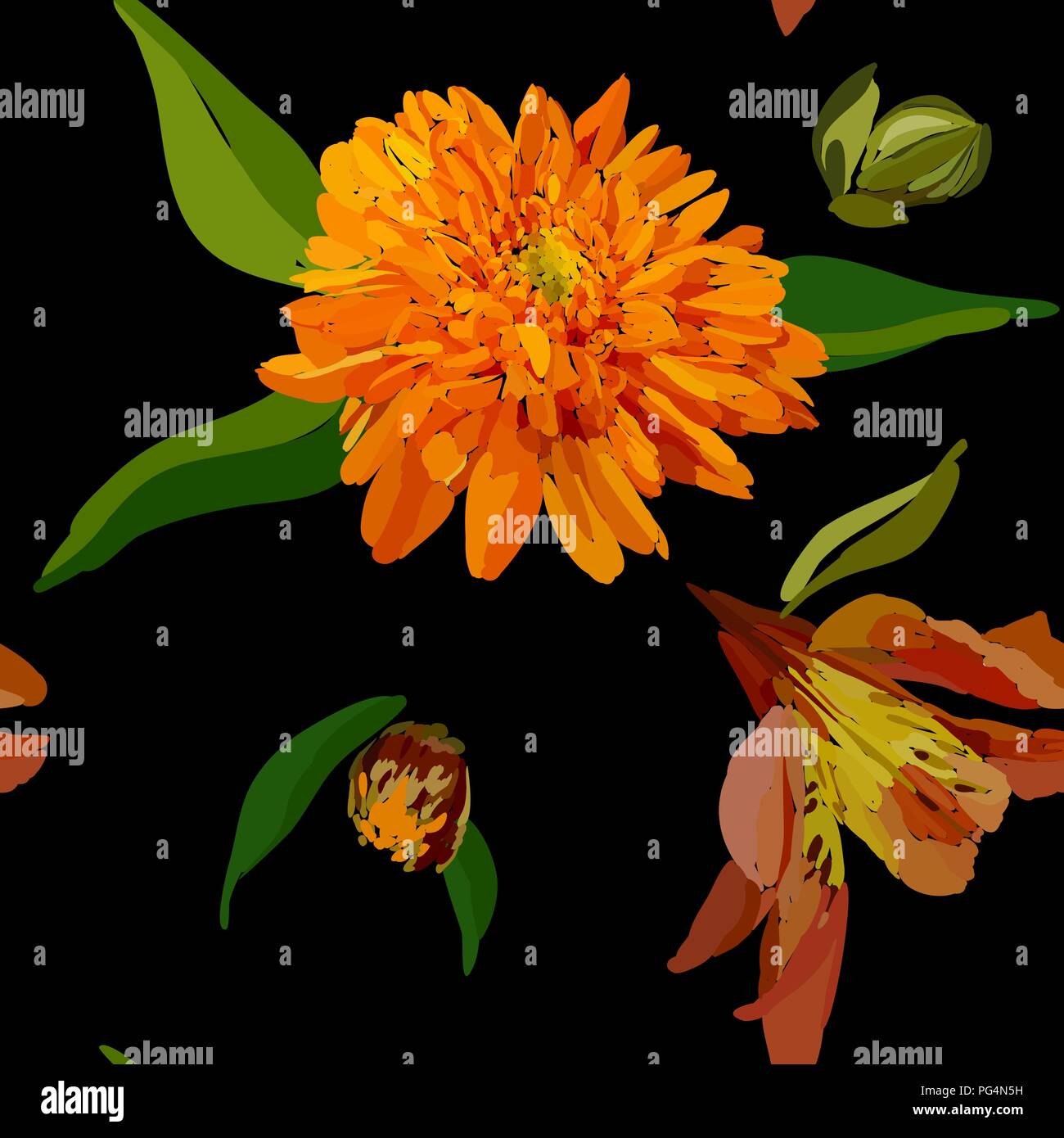 Aster vector vectors hi-res stock photography and images - Alamy