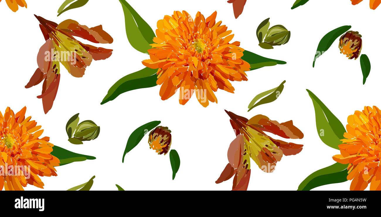 Aster vector vectors hi-res stock photography and images - Alamy