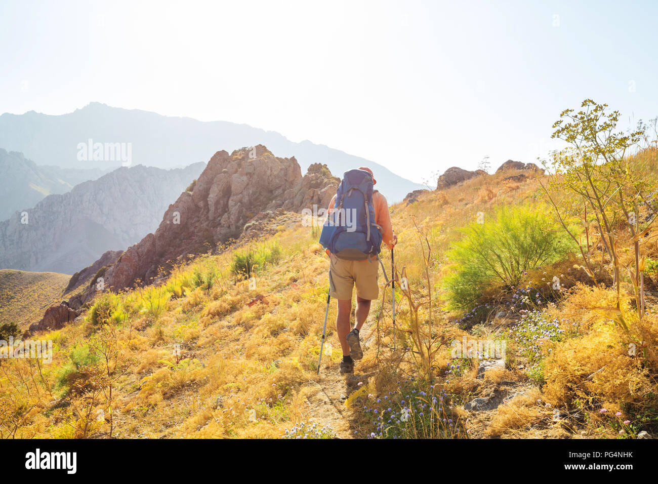 Backpacker in the summer mountains Stock Photo - Alamy