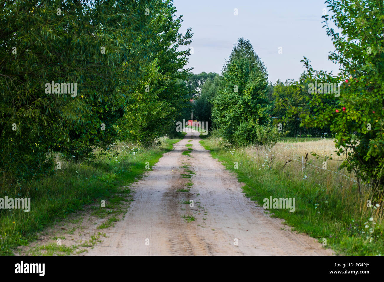 Nobody sandy dirt track road hi-res stock photography and images - Alamy