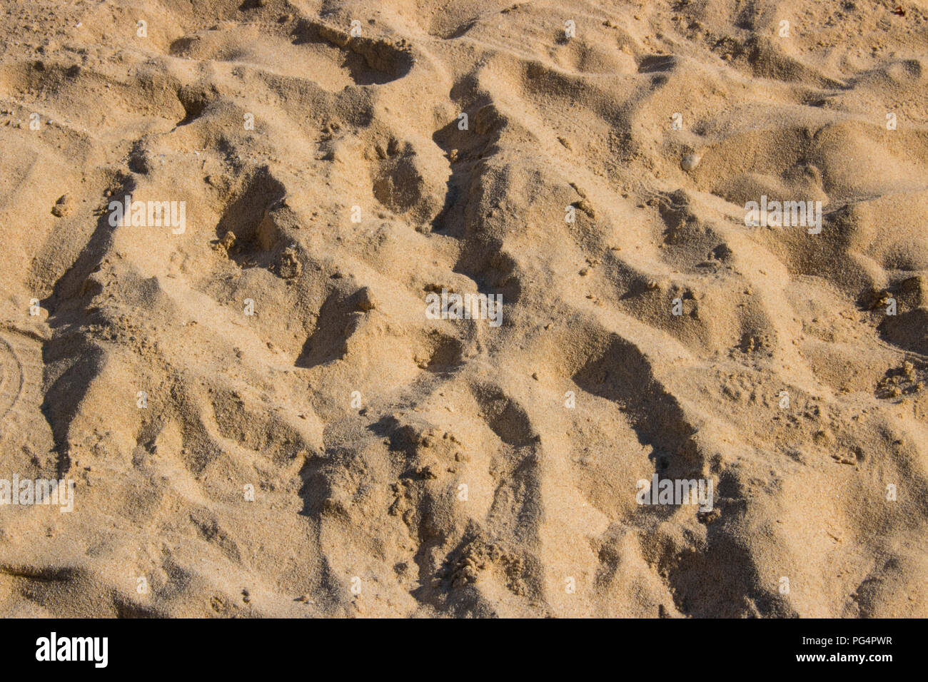 beach sand macro close up photo Stock Photo - Alamy